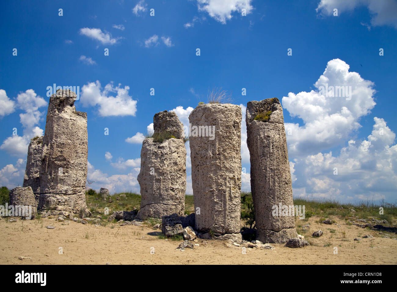 Pobiti Kamani petrified Stone Forest Near Varna in Bulgaria Stock Photo ...
