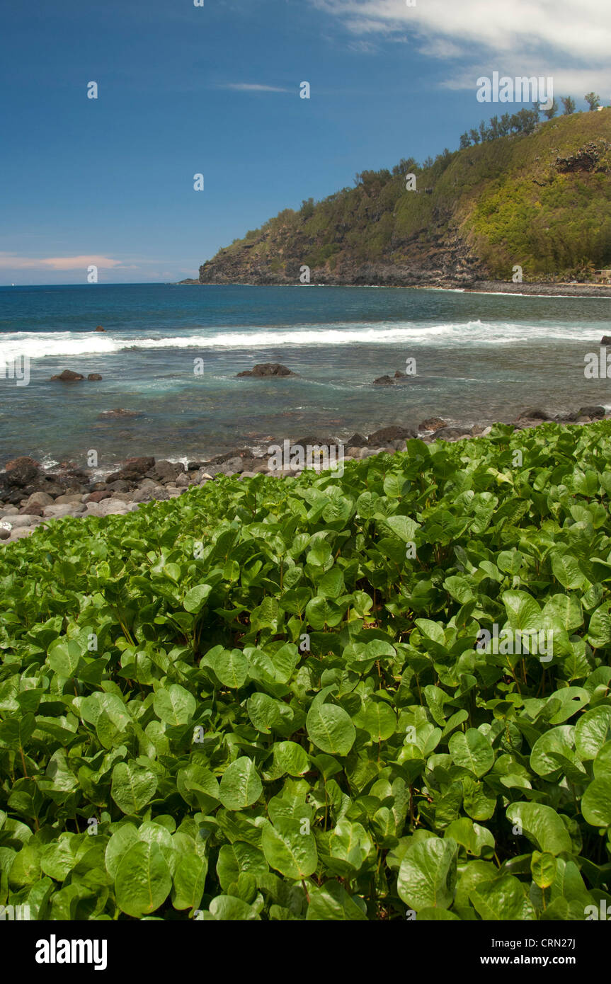 French Overseas territory (aka Francais d'Outre Mer), Reunion Island ...