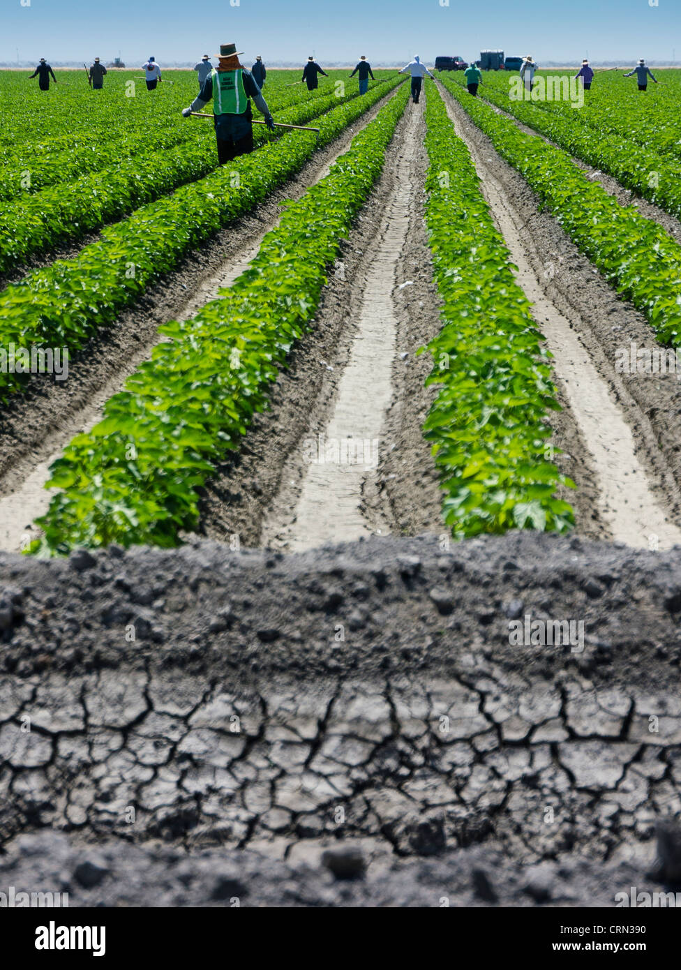 Fieldfield hi-res stock photography and images - Alamy