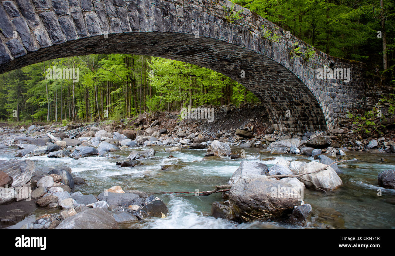 Old stone bridge golden gate park hi-res stock photography and images ...