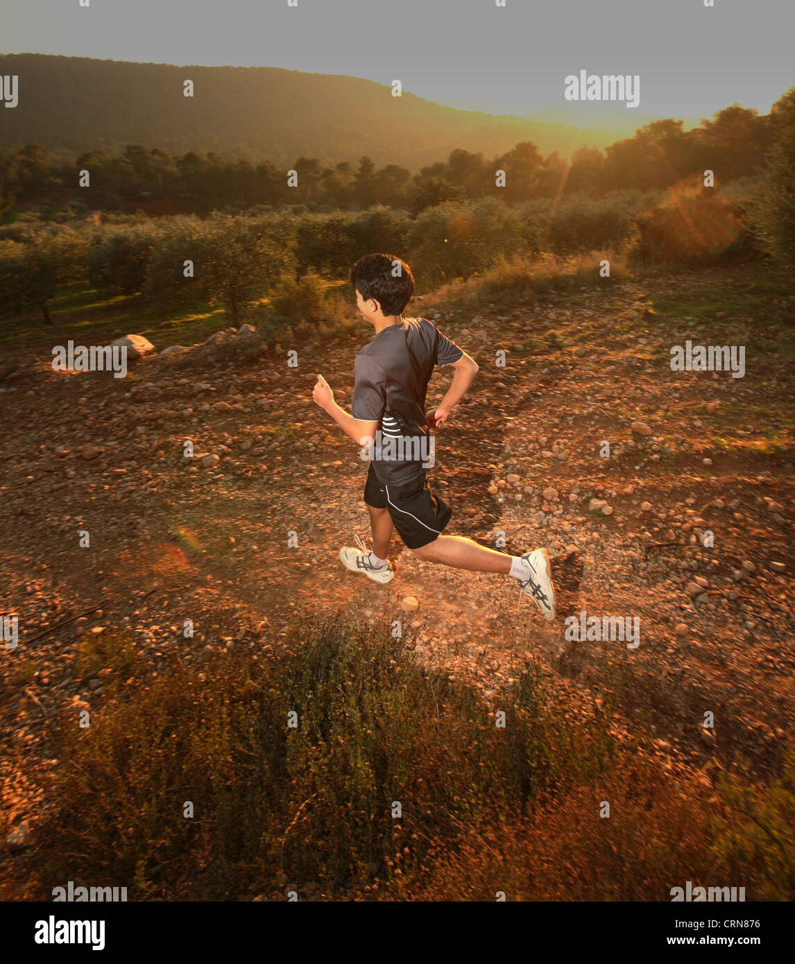 Runner moving through sunlit landscape Stock Photo - Alamy