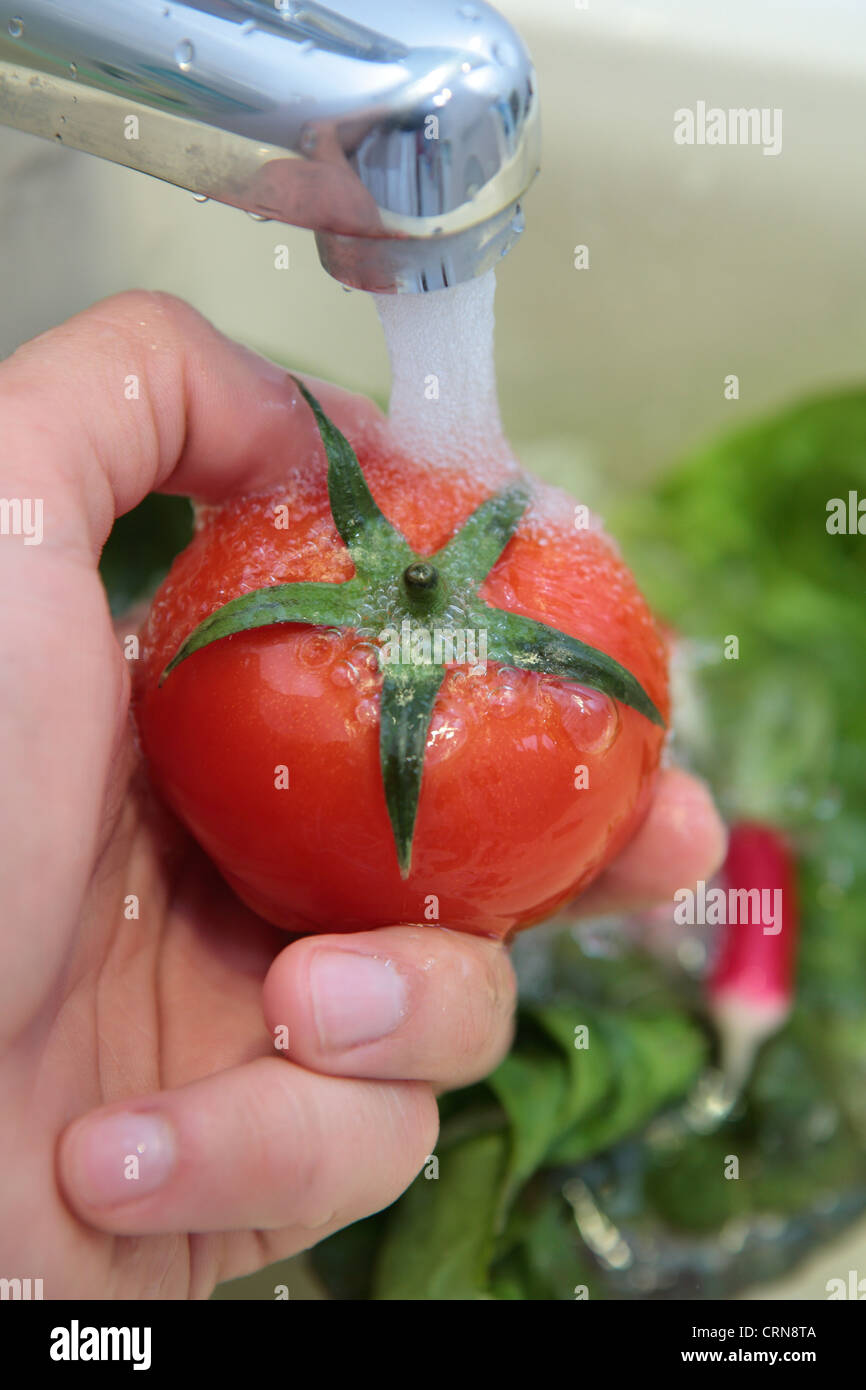 A detail image of washing tomatoes at home in the sink Stock Photo - Alamy