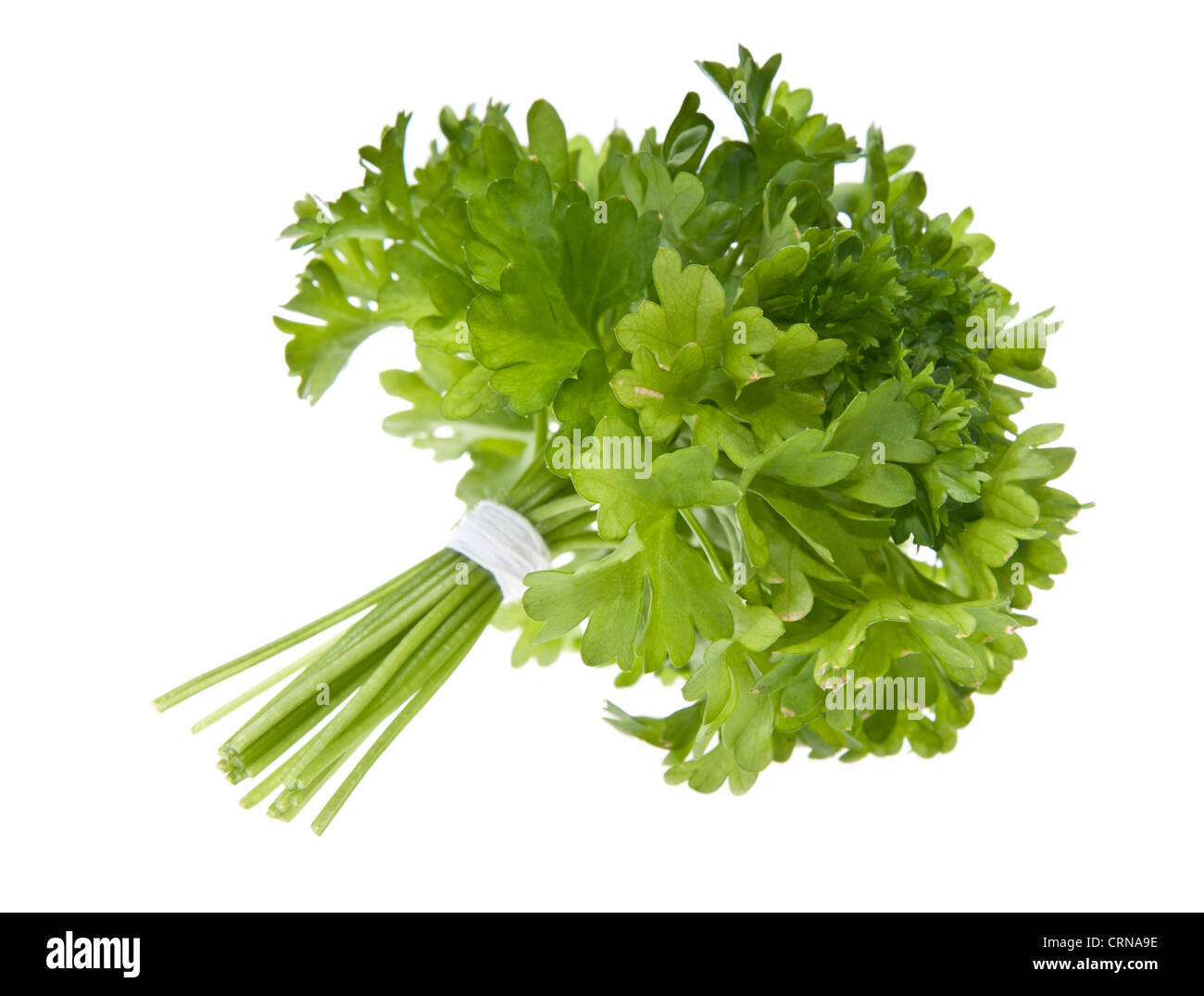 Bunch of fresh parsley isolated on white Stock Photo - Alamy
