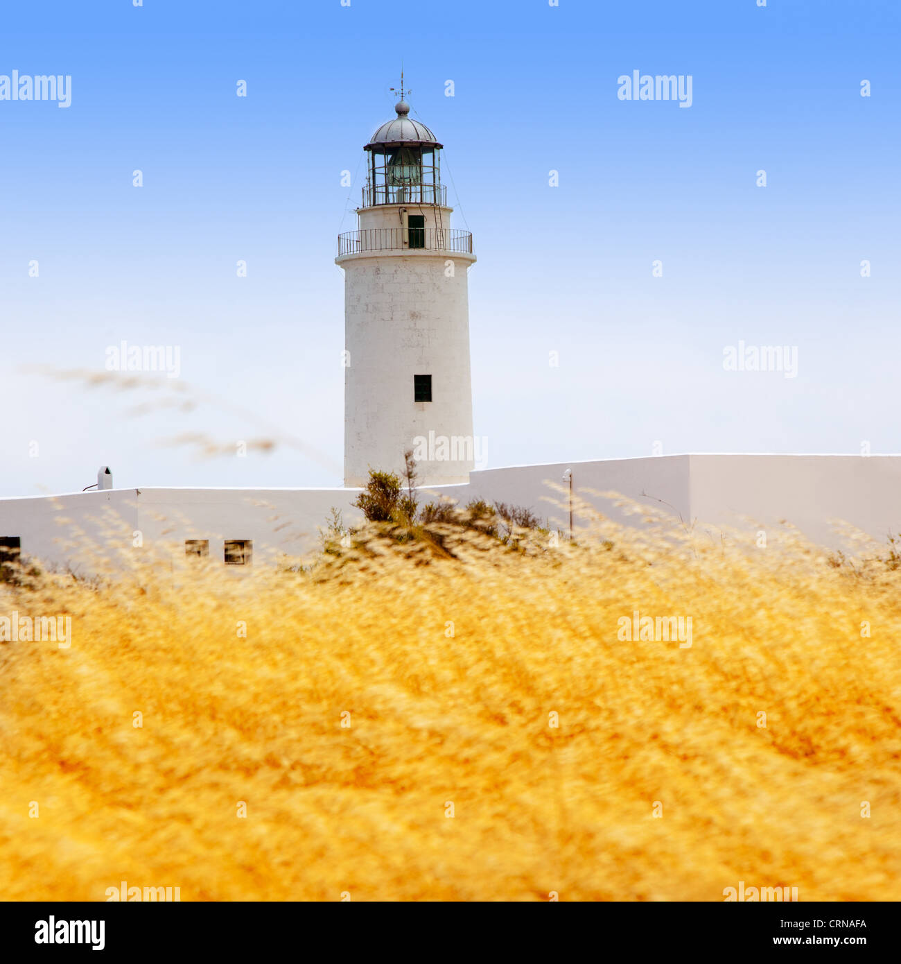 La Mola lighthouse in formentera with golden dried grass field Stock ...