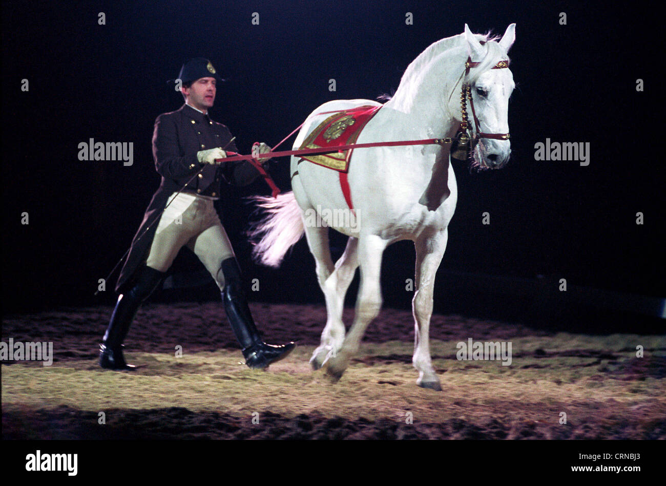 Spanish Riding School of Vienna Stock Photo - Alamy