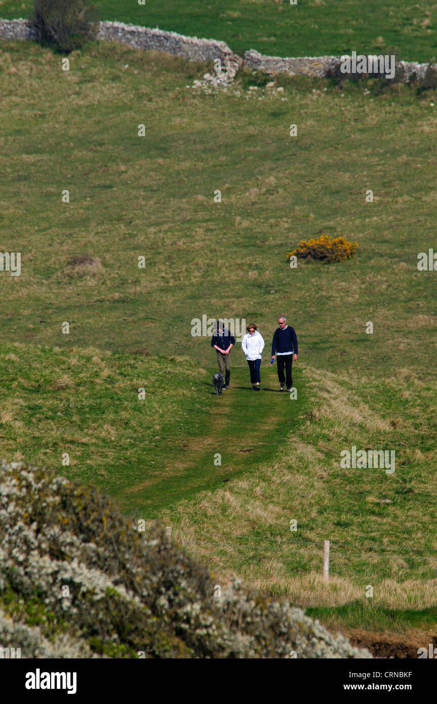 Three walkers near Seacombe Cliff East Dorset UK Stock Photo - Alamy