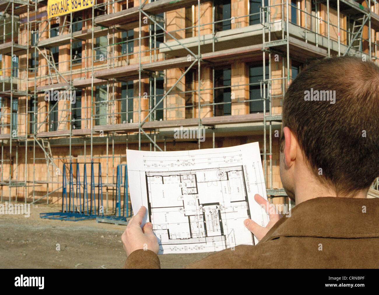 Man with plan in the hands looks at Shell Stock Photo - Alamy