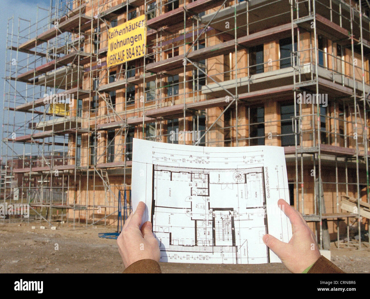 Man with plan in the hands looks at Shell Stock Photo - Alamy