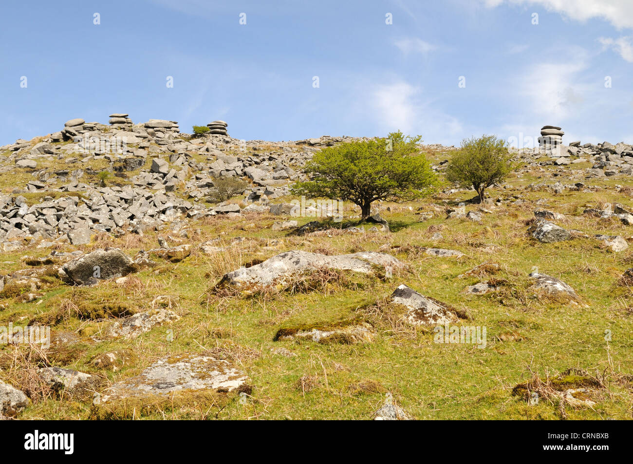 Stowes Hill and Tors Minions Bodmin Moor Cornwall Englland UK GB Stock ...