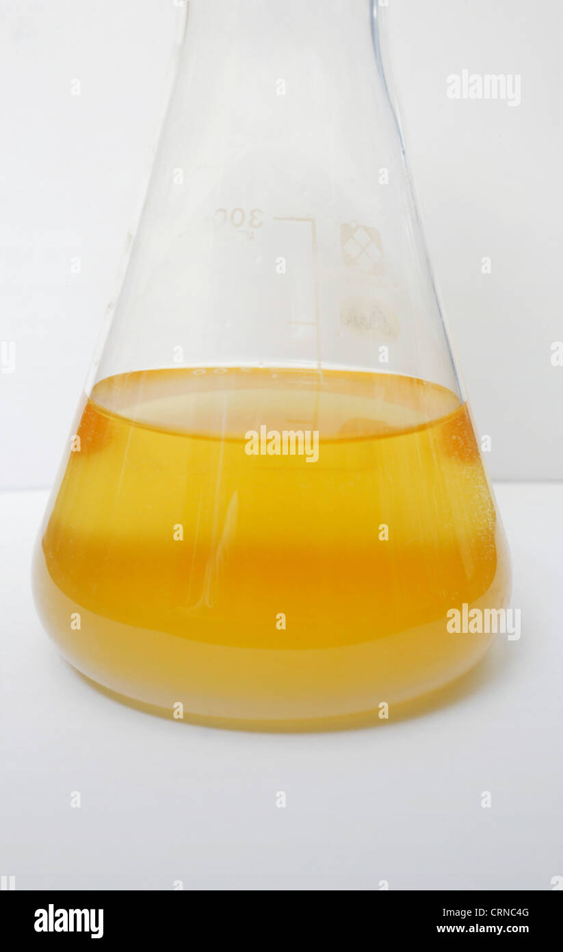 A yellow liquid in a Erlenmeyer flask Stock Photo - Alamy