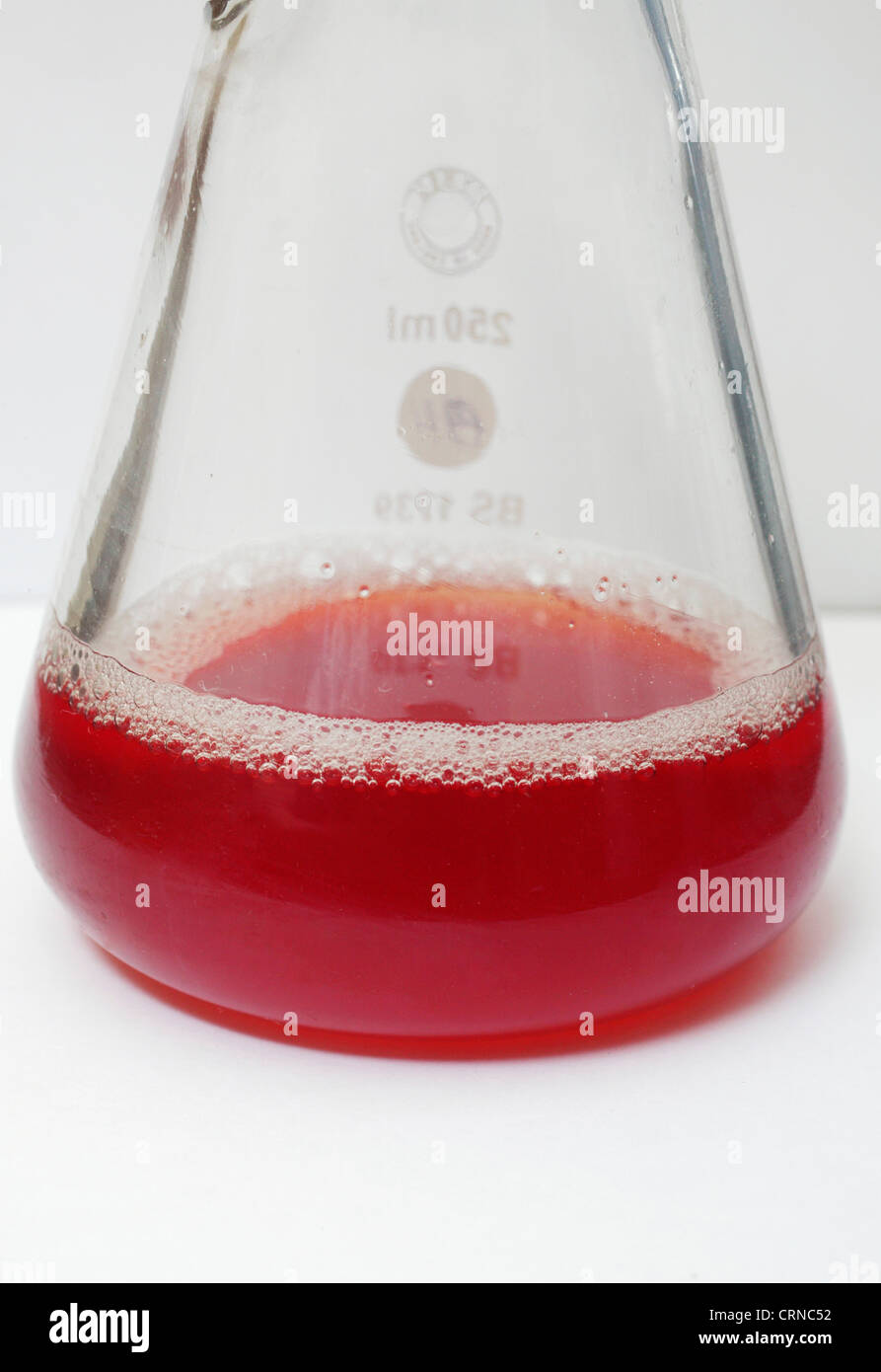 A red liquid in an Erlenmeyer flask Stock Photo - Alamy