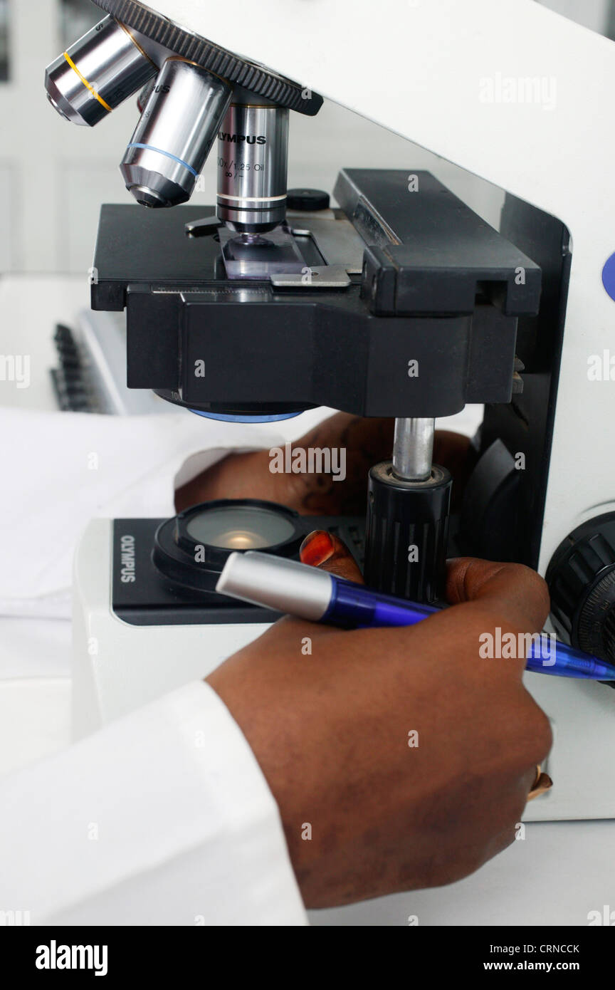Pathologist Microscope High Resolution Stock Photography and Images - Alamy