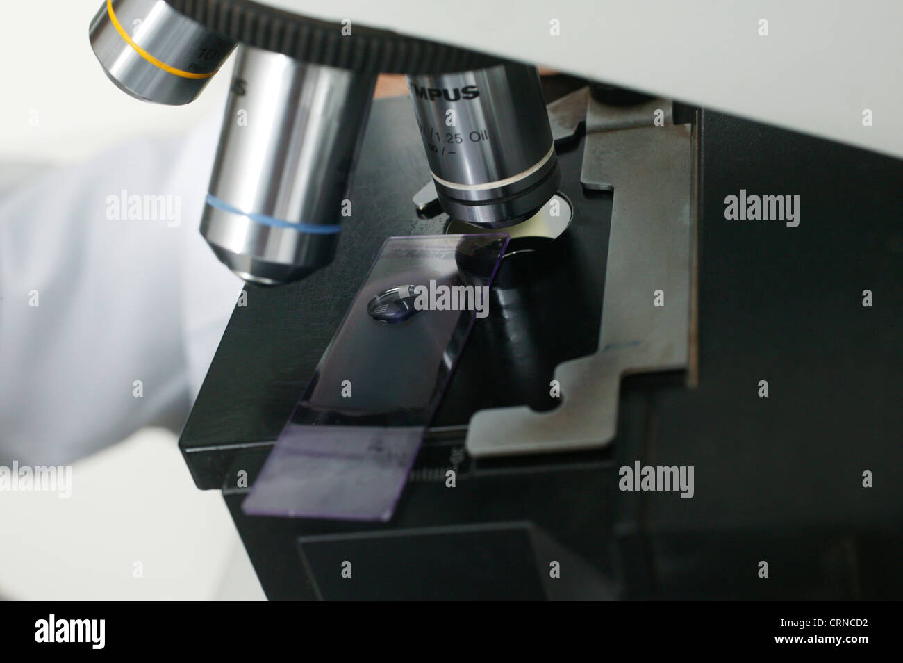 Haematology Slides High Resolution Stock Photography and Images - Alamy