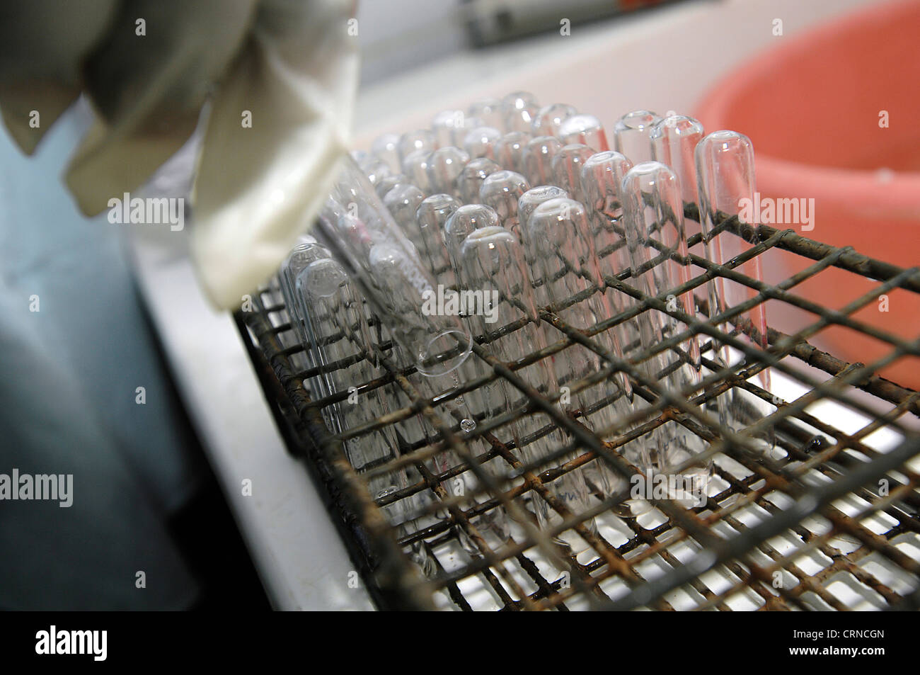 Test tubes being washed to be sterilizing after use Stock Photo - Alamy