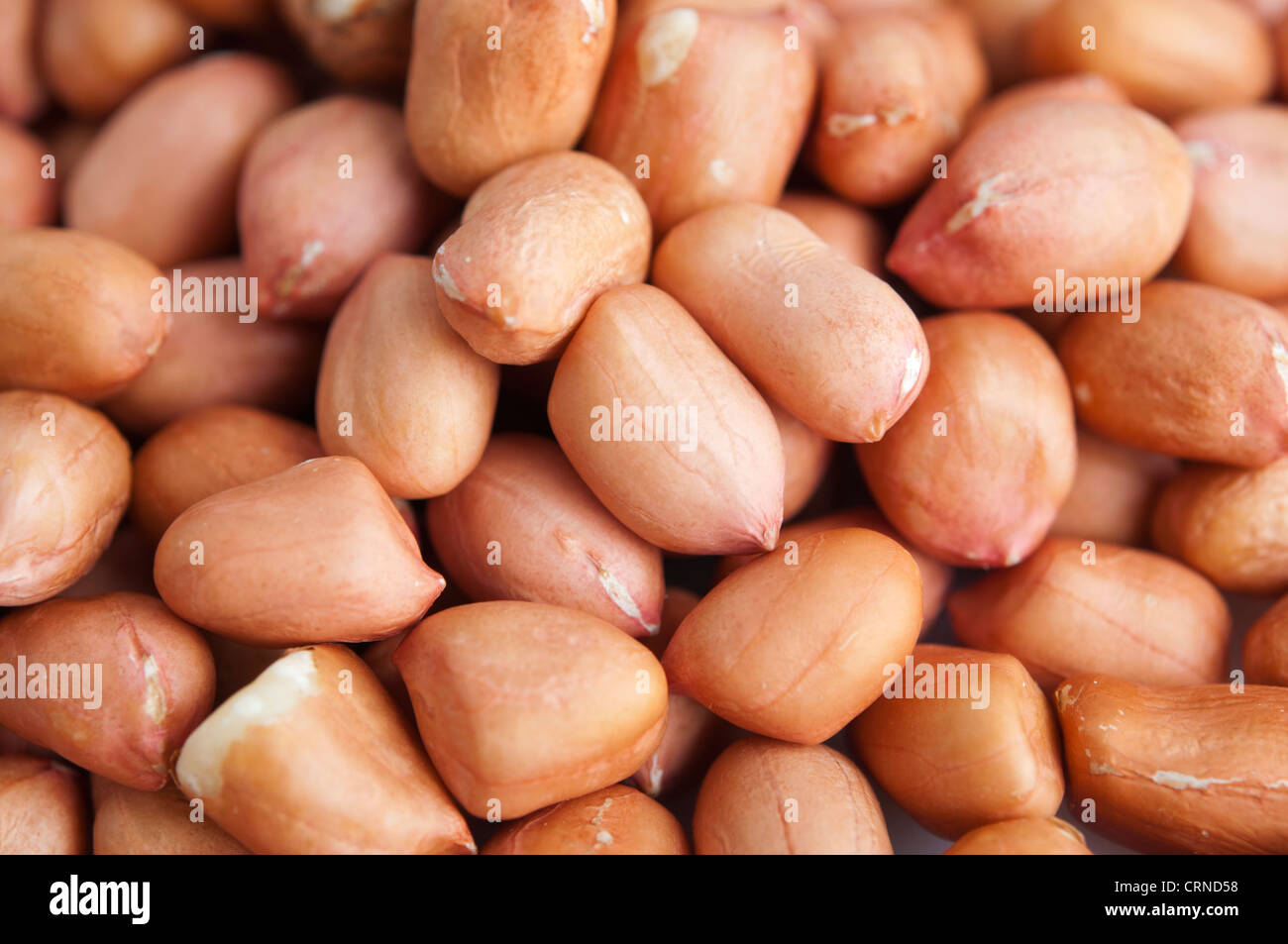 Close up red skin peanuts Stock Photo - Alamy