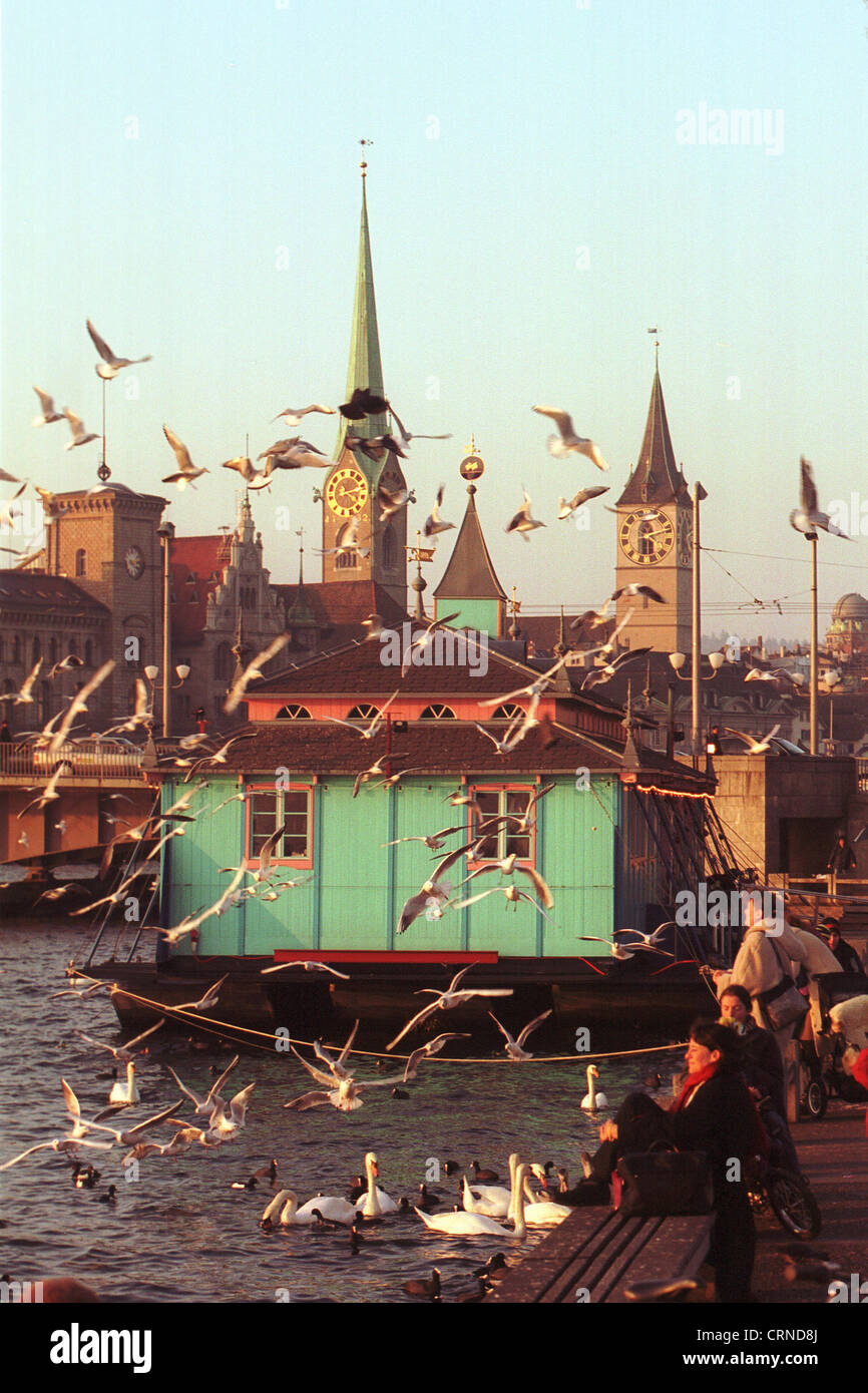 Zuerichsee vertical hi-res stock photography and images - Alamy