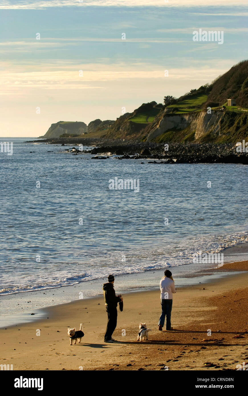 The seafront at Ventnor on the Isle of Wight Stock Photo - Alamy