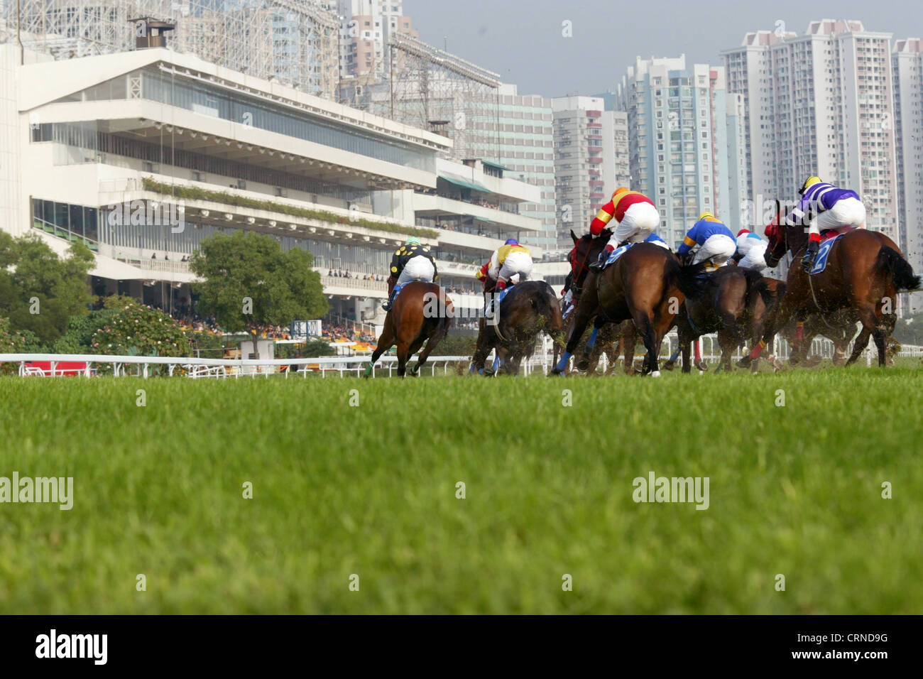 The racecourse in Macau Stock Photo - Alamy