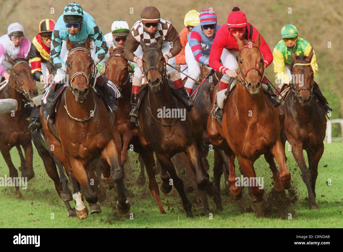 Horse racing, horses and jockeys in the final bend Stock Photo - Alamy