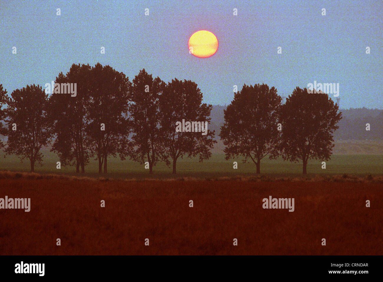 Landscape in the evening light Stock Photo - Alamy