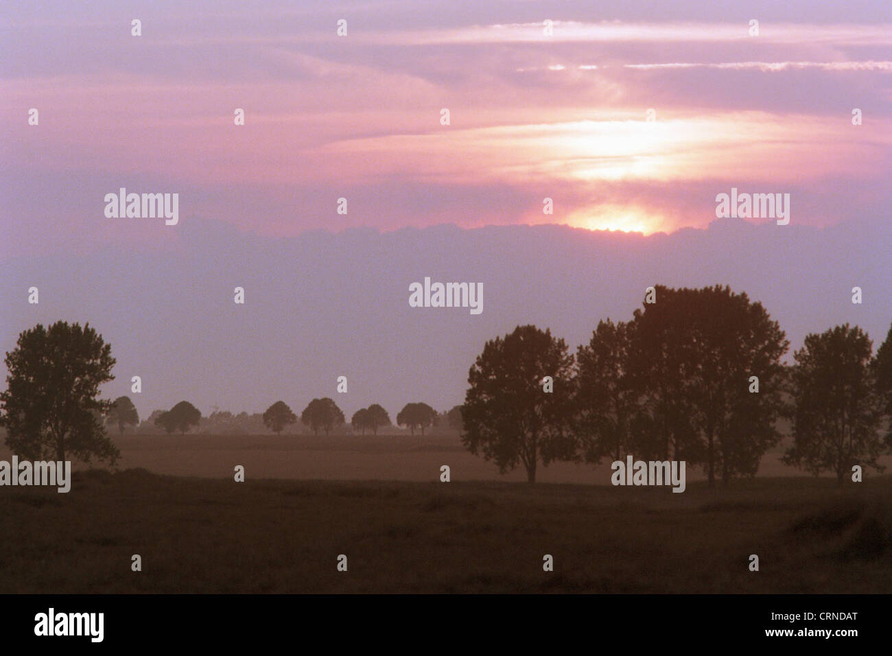Landscape in the evening light Stock Photo - Alamy