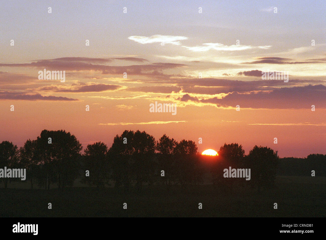 Landscape in the evening light Stock Photo - Alamy
