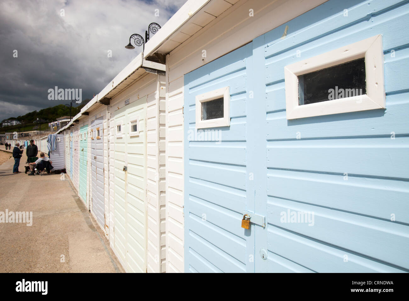 Sea front beach huts on the promenade in Lyme Regis, Dorset, part of ...