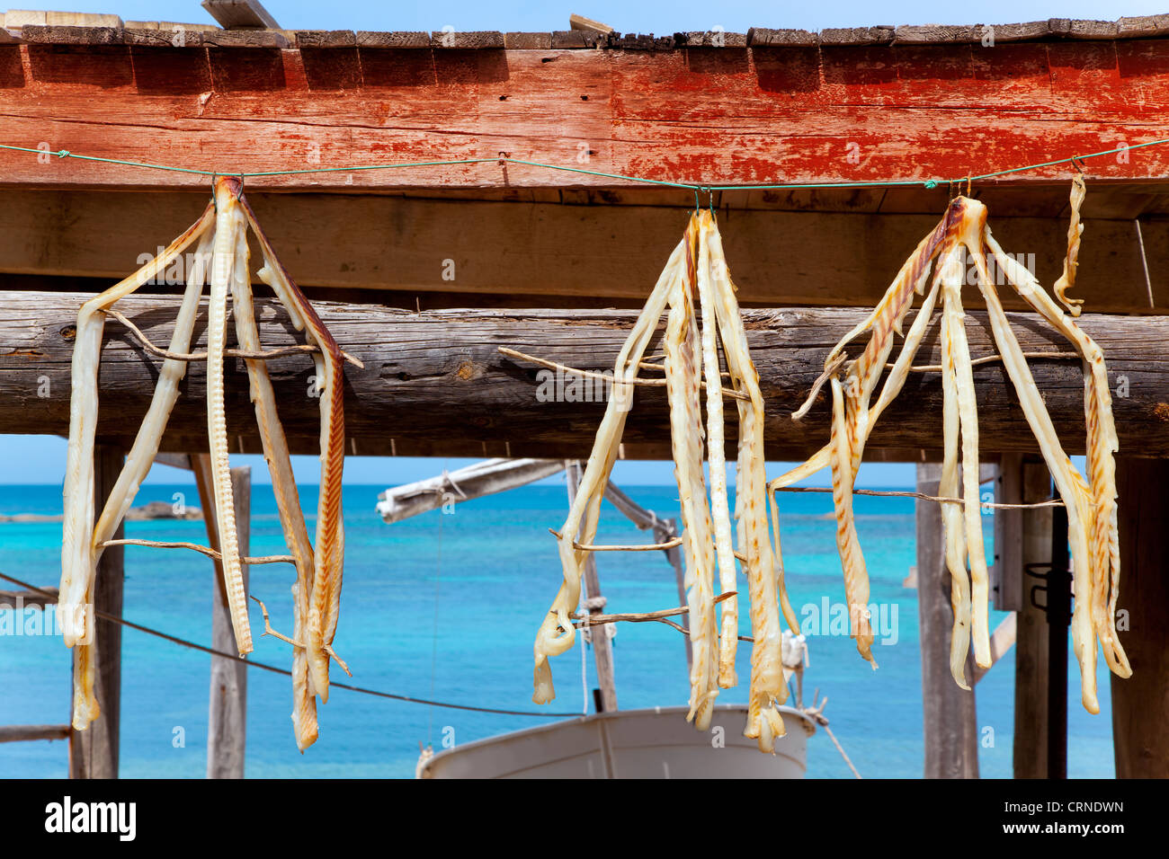 dried fish peix sec typical food in Mediterranean Balearic islans at ...
