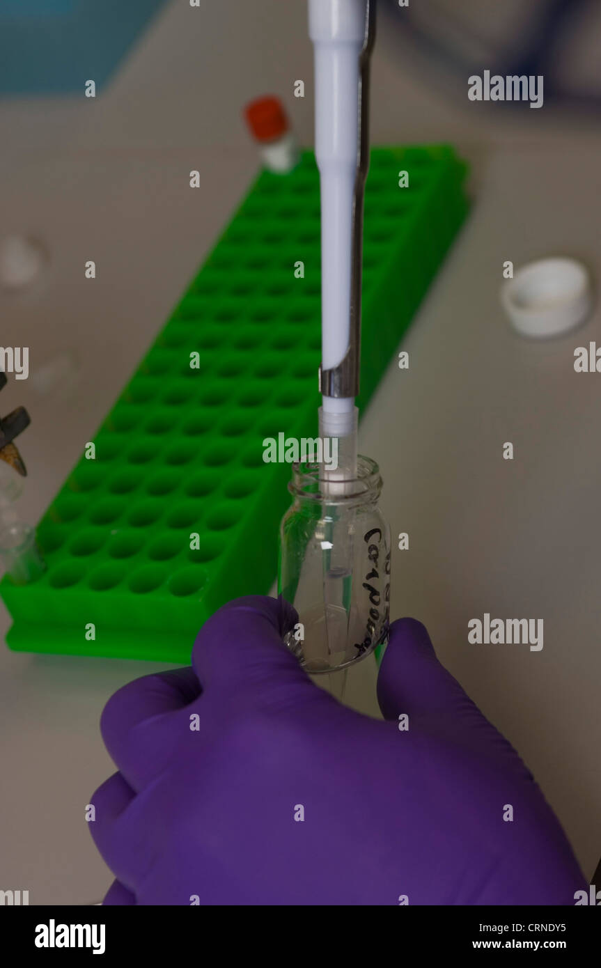 Bacterial testing hi-res stock photography and images - Alamy