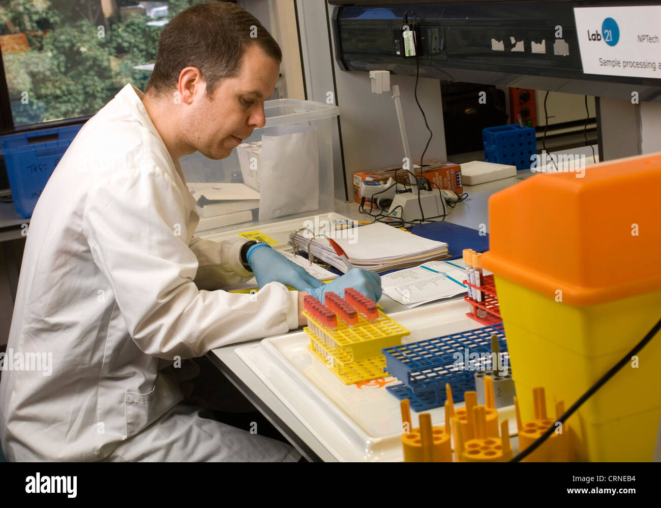 A scientist completes the necessary paper work required for the samples ...