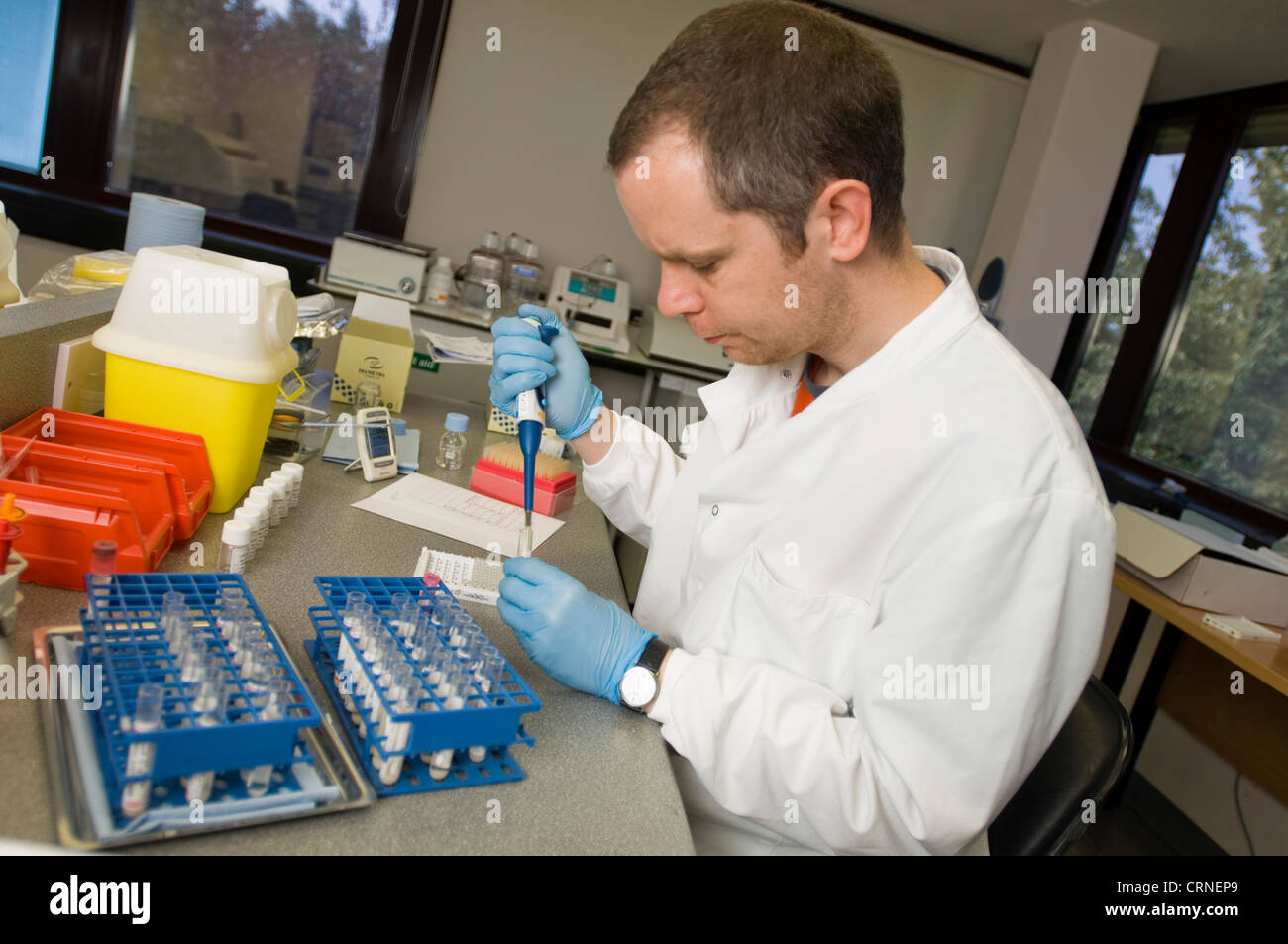 scientist checking samples Stock Photo - Alamy