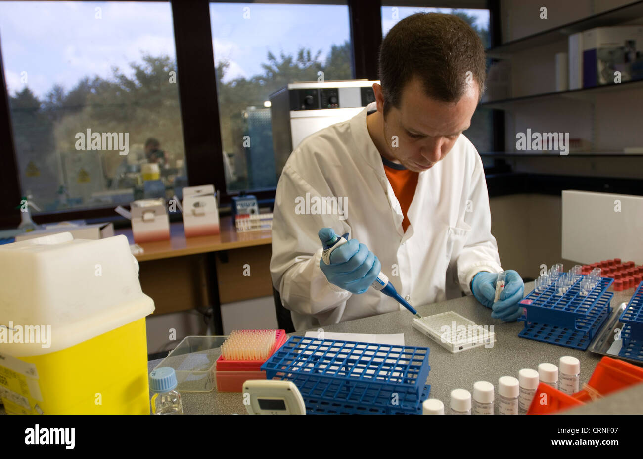 Scientist checking samples Stock Photo - Alamy