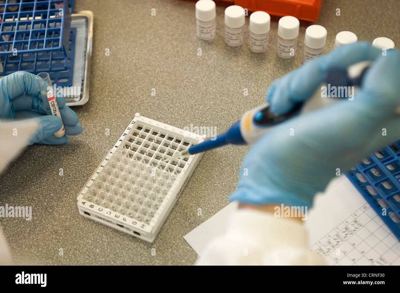 scientist checking samples Stock Photo - Alamy