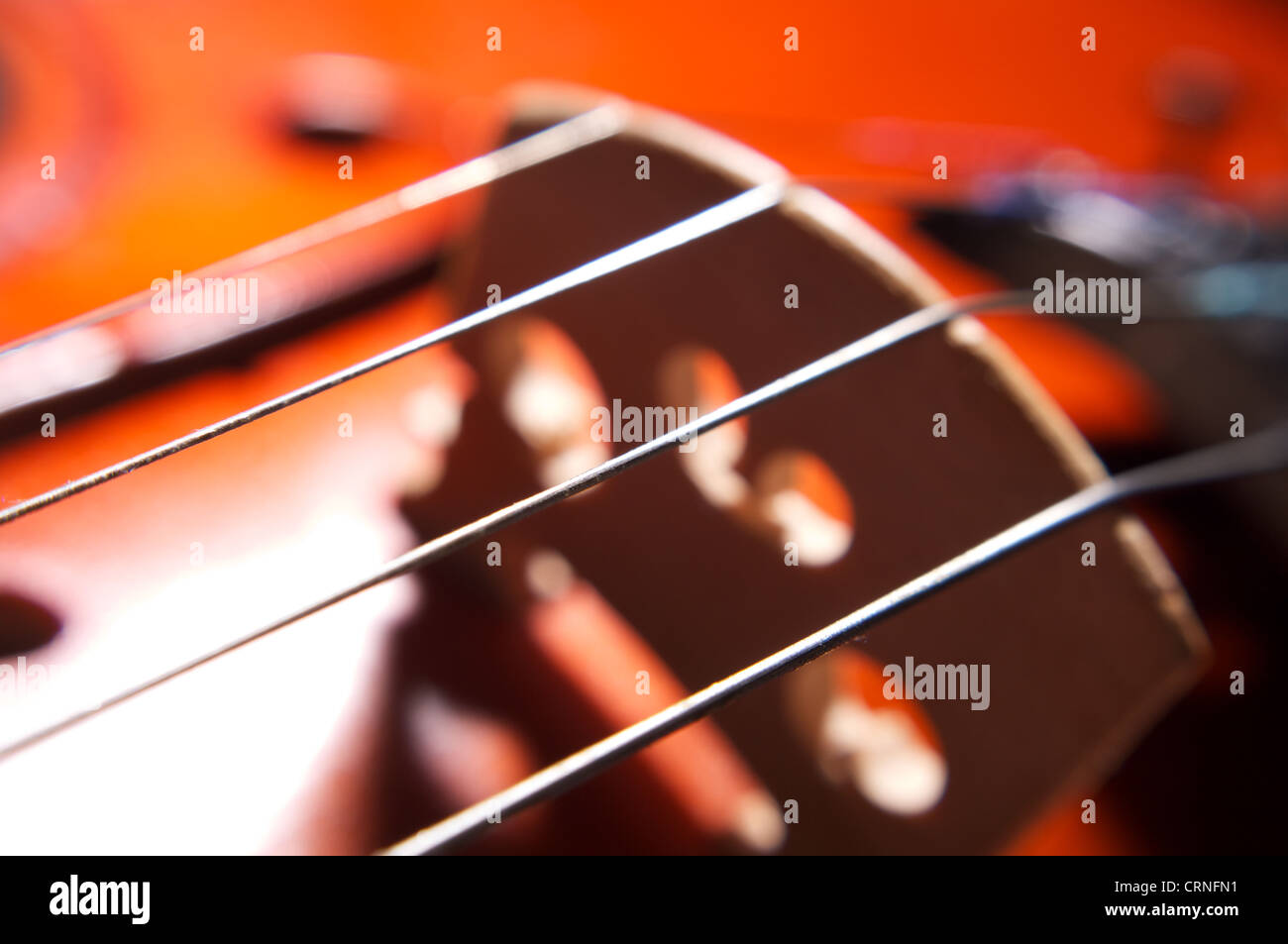 violin strings close-up Stock Photo - Alamy