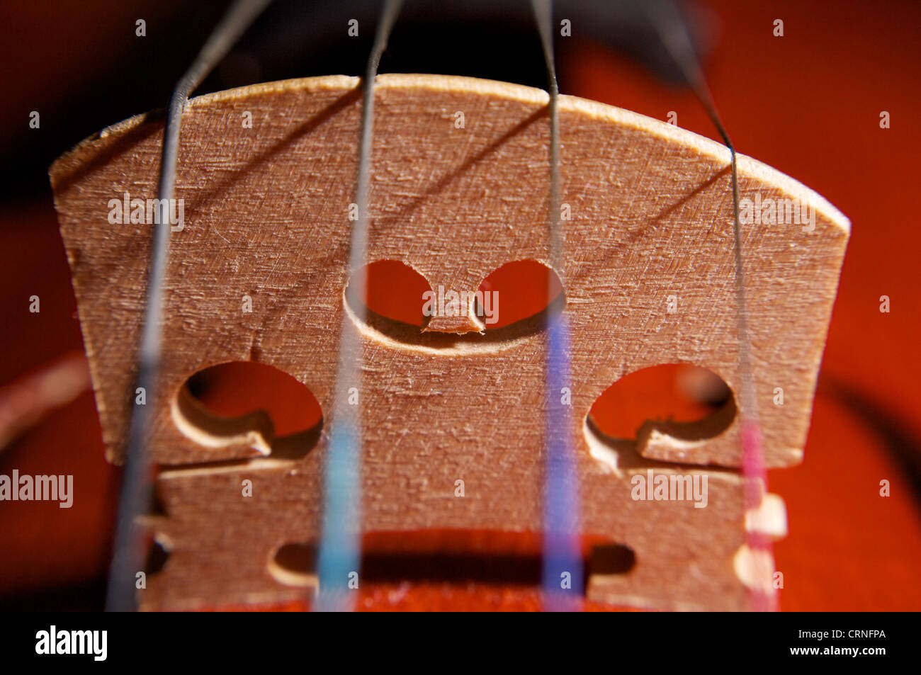 violin strings close-up Stock Photo - Alamy