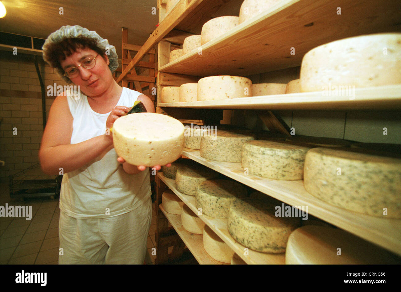 Production of cheese, Brandenburg Stock Photo - Alamy