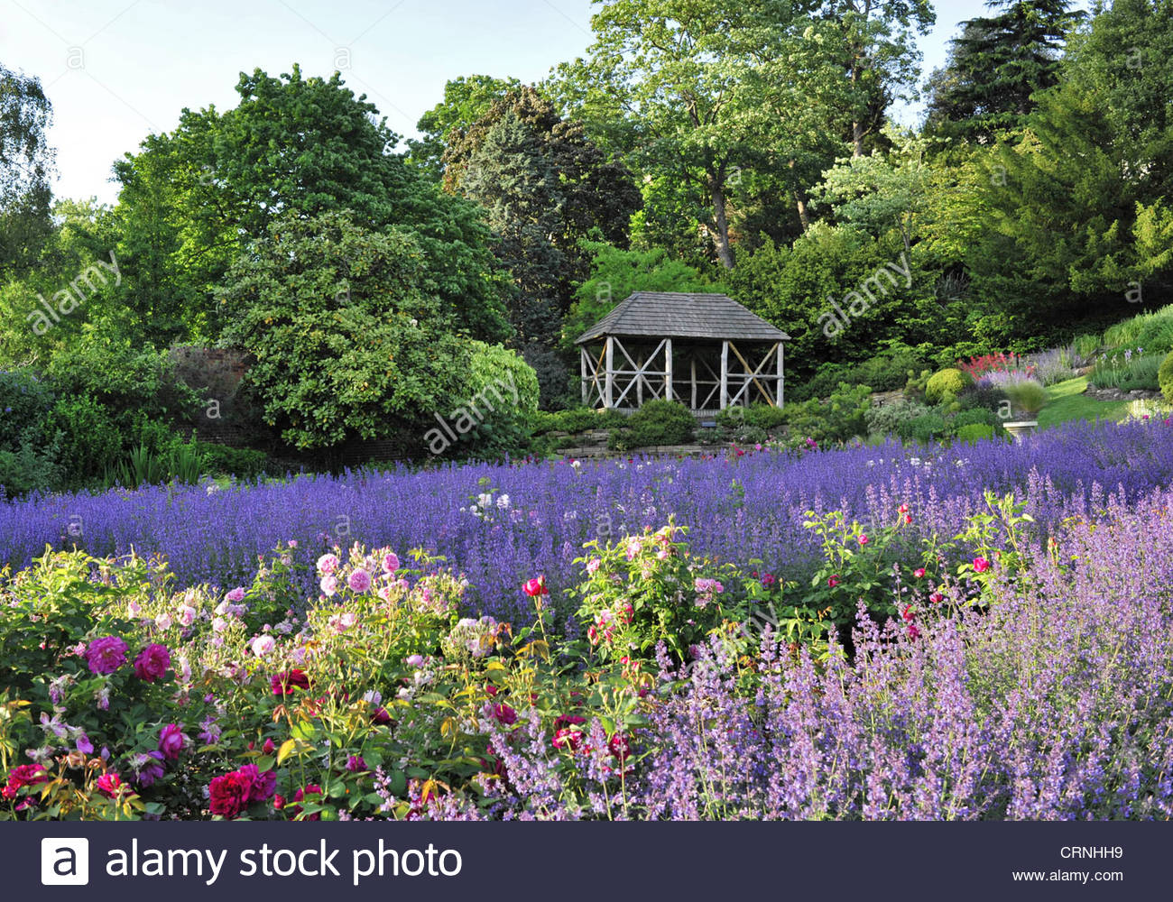 Richmond Terrace London High Resolution Stock Photography and Images ...