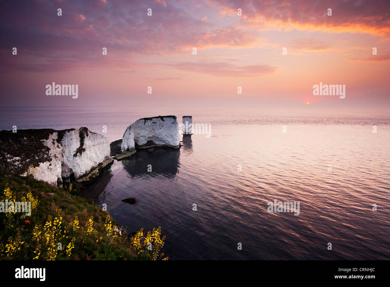 Old Harry Rocks, chalk Stacks which jut out into the English Channel ...