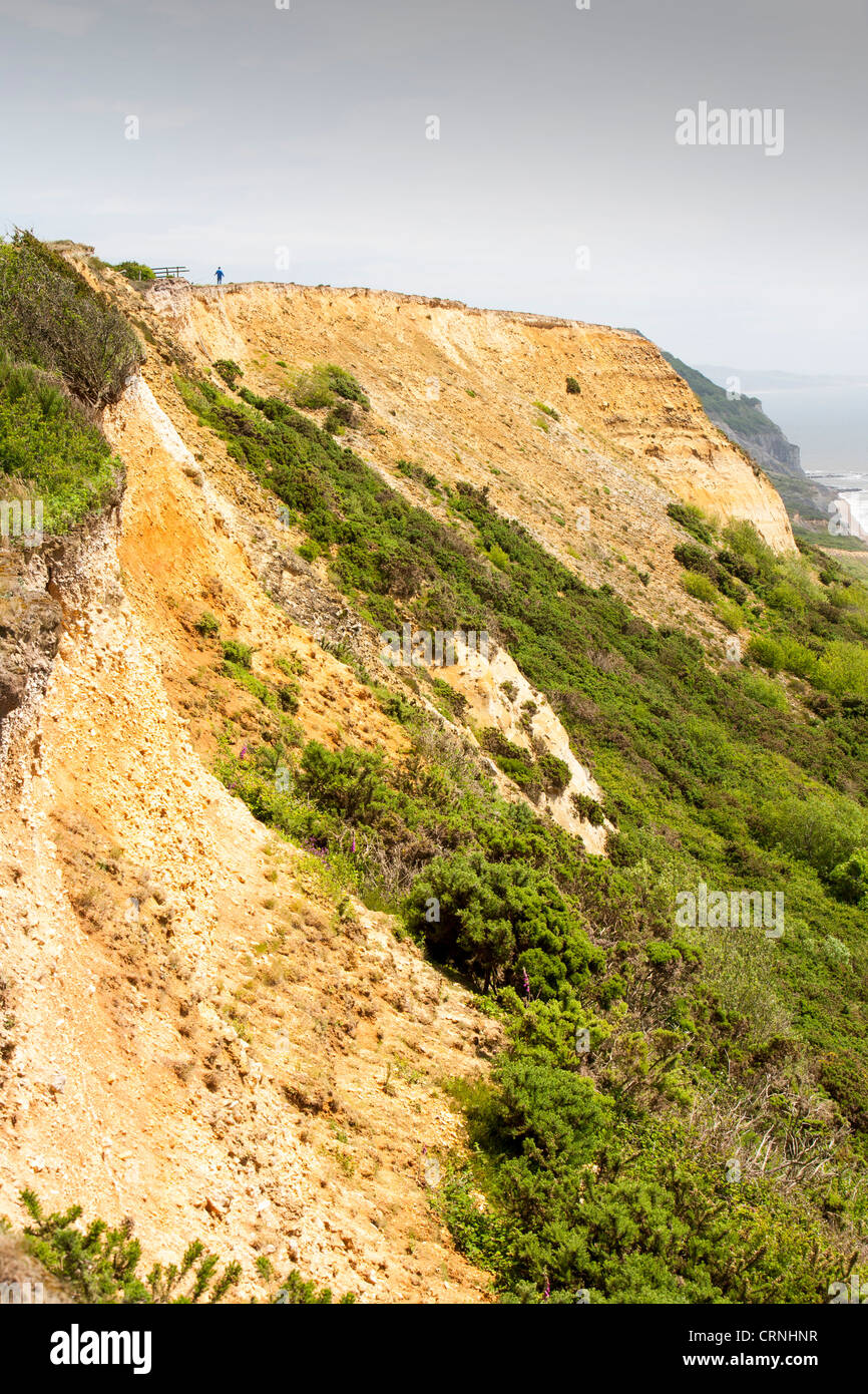 Coastal cliff habitat hi-res stock photography and images - Alamy