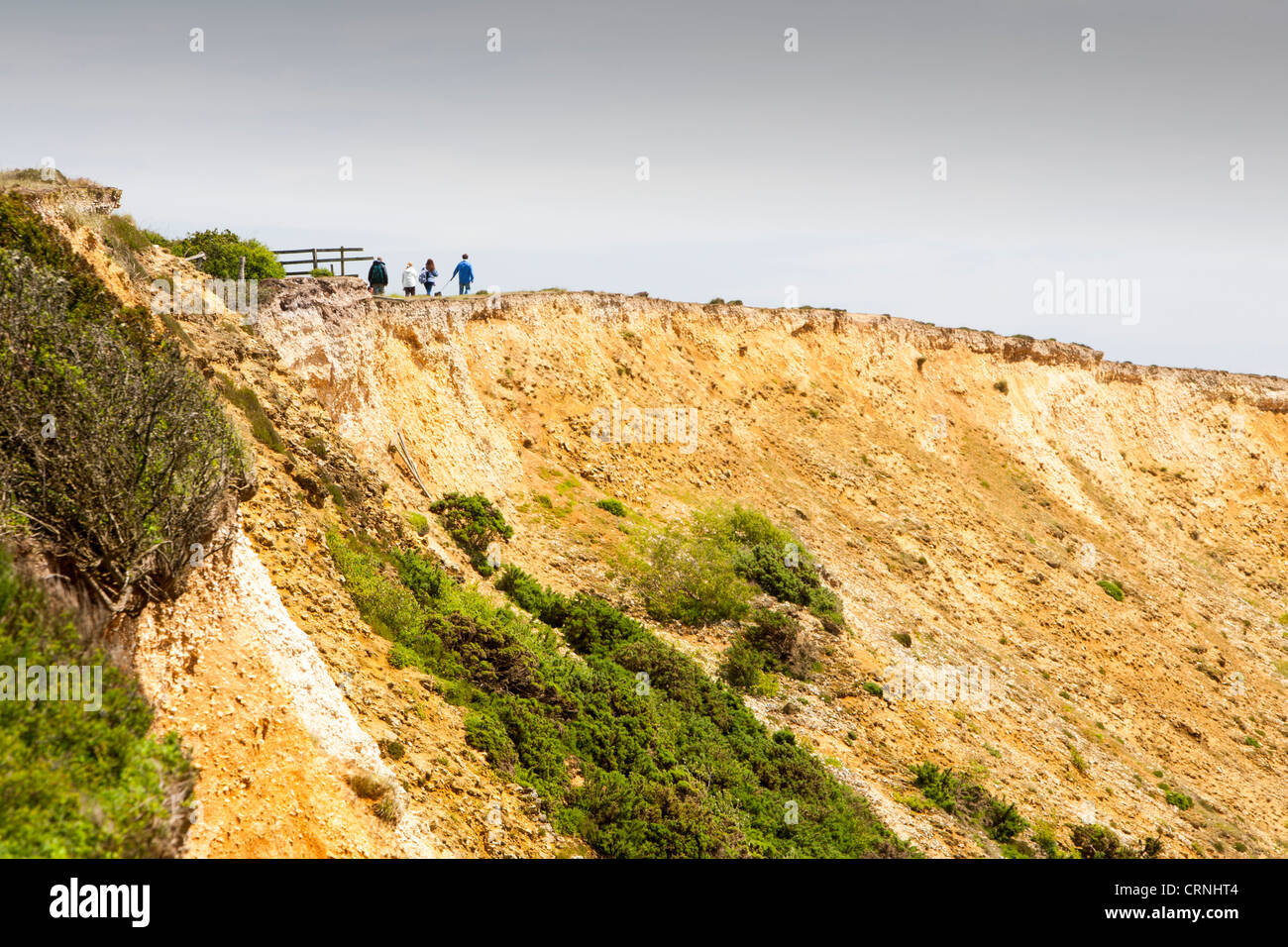 A section of coastal cliff on the Jurassic Coast between Charmouth and ...
