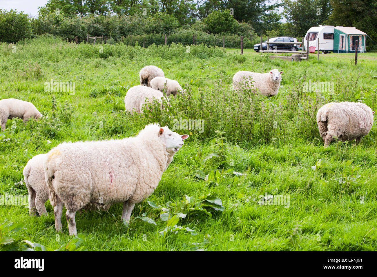Washingpool hi-res stock photography and images - Alamy