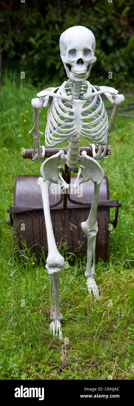 Skeleton pulling a garden roller Stock Photo - Alamy
