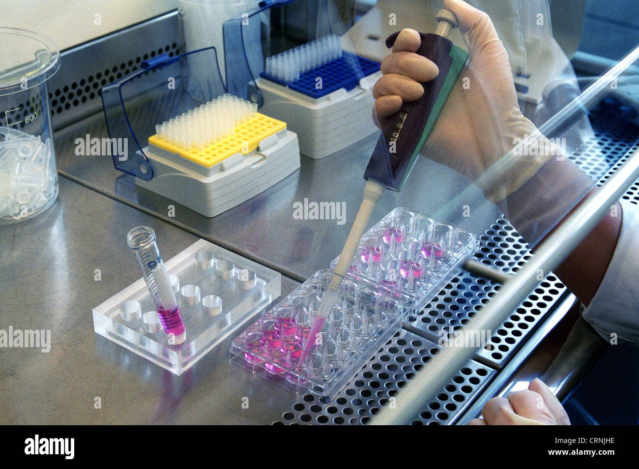 Pipetting a Liquid in a research lab Stock Photo - Alamy