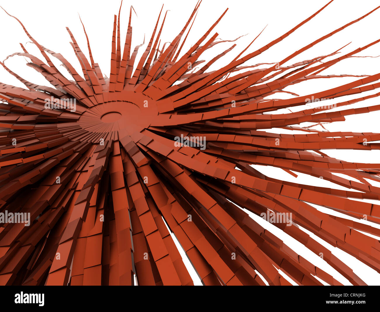 Star octopus hi-res stock photography and images - Alamy