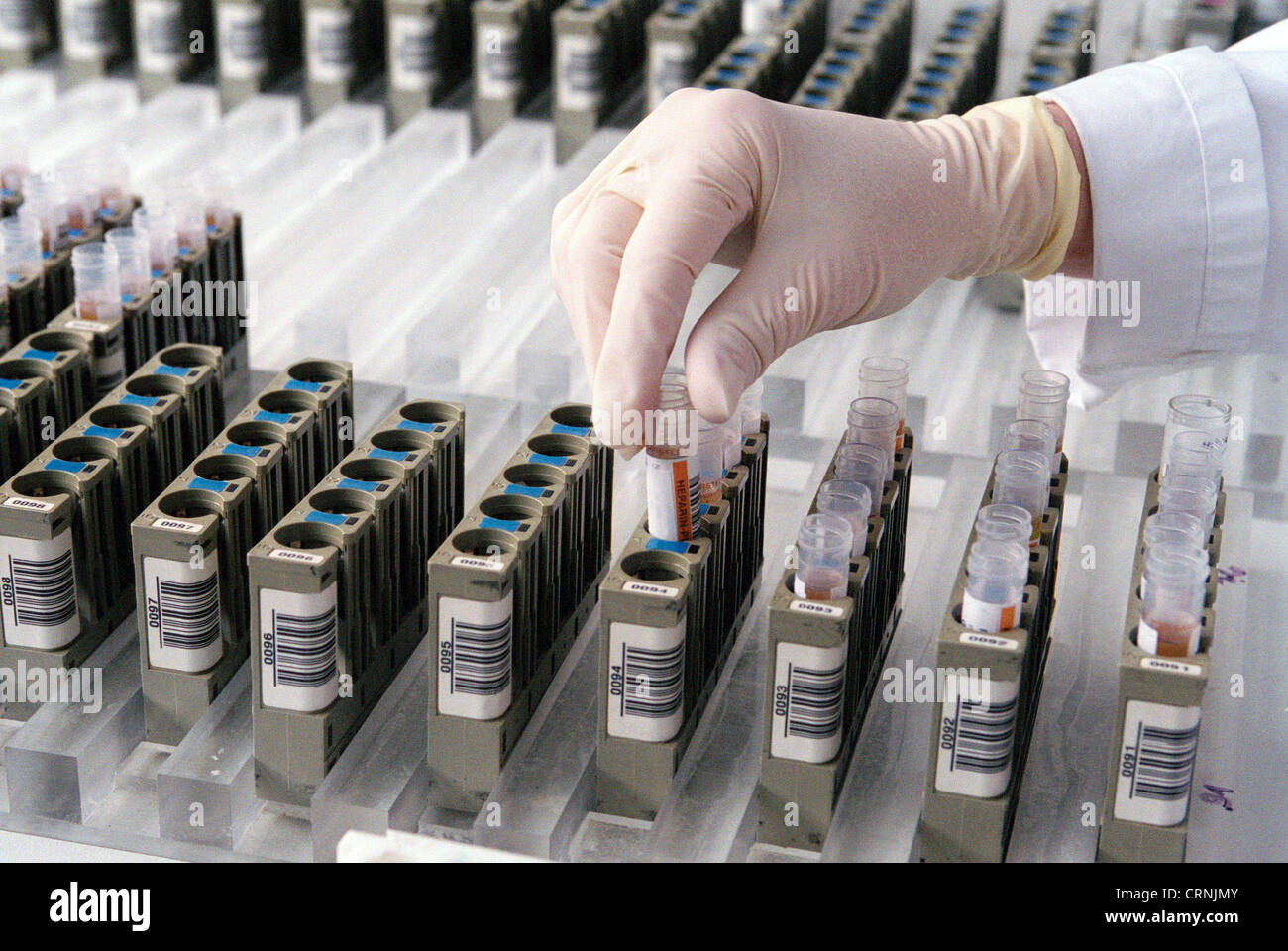 Distributing laboratory samples on racks for the analyzes Stock Photo ...