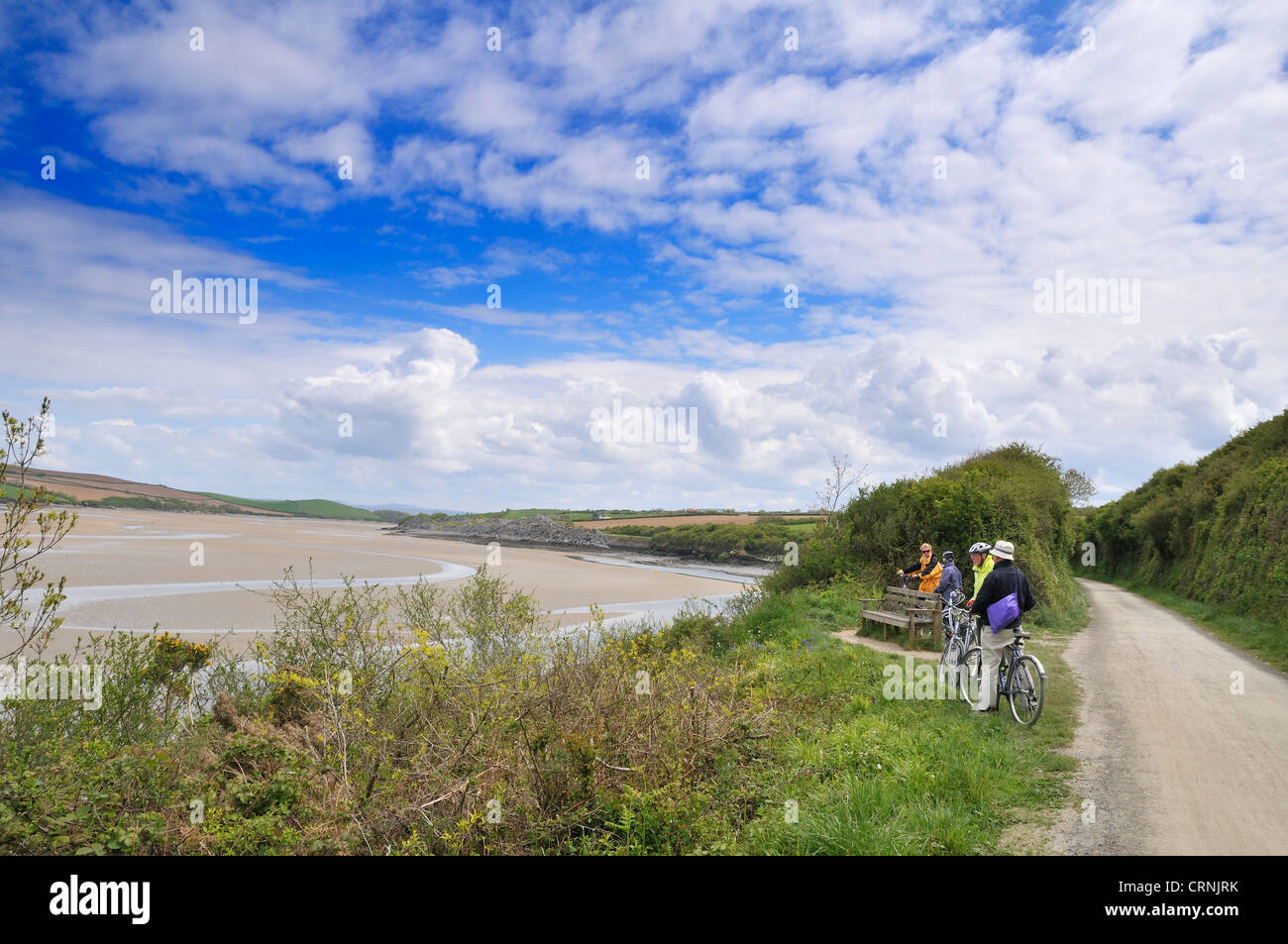 Cornwall camel trail cycle hi-res stock photography and images - Alamy