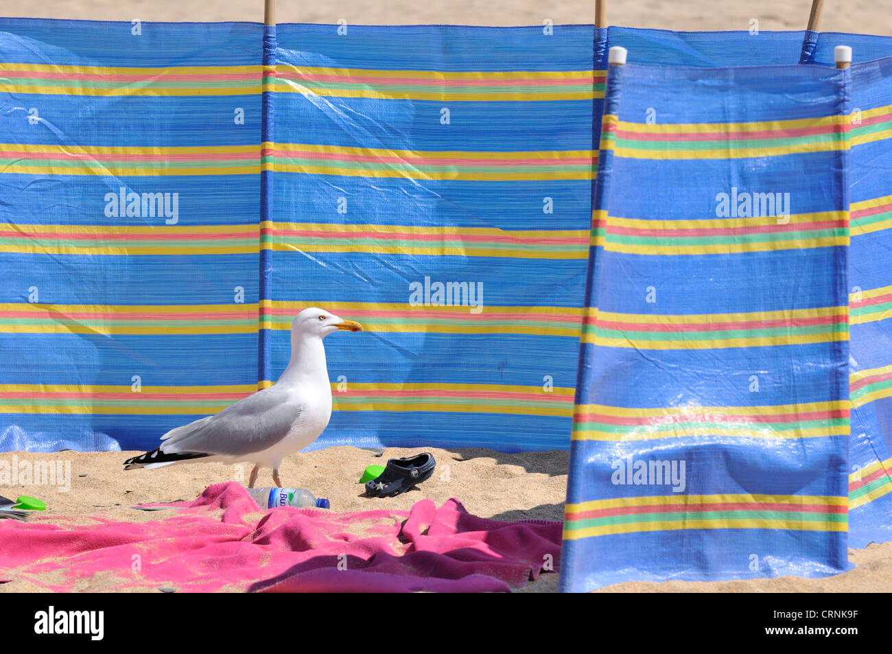 Unattended food hi-res stock photography and images - Alamy