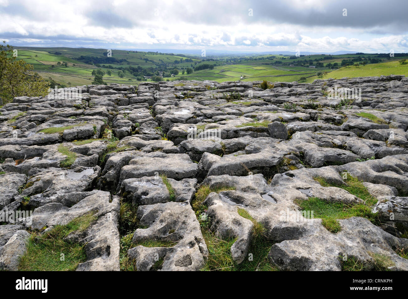 Limestone Pavement above Malham cove, formed by glacial retreat from ...