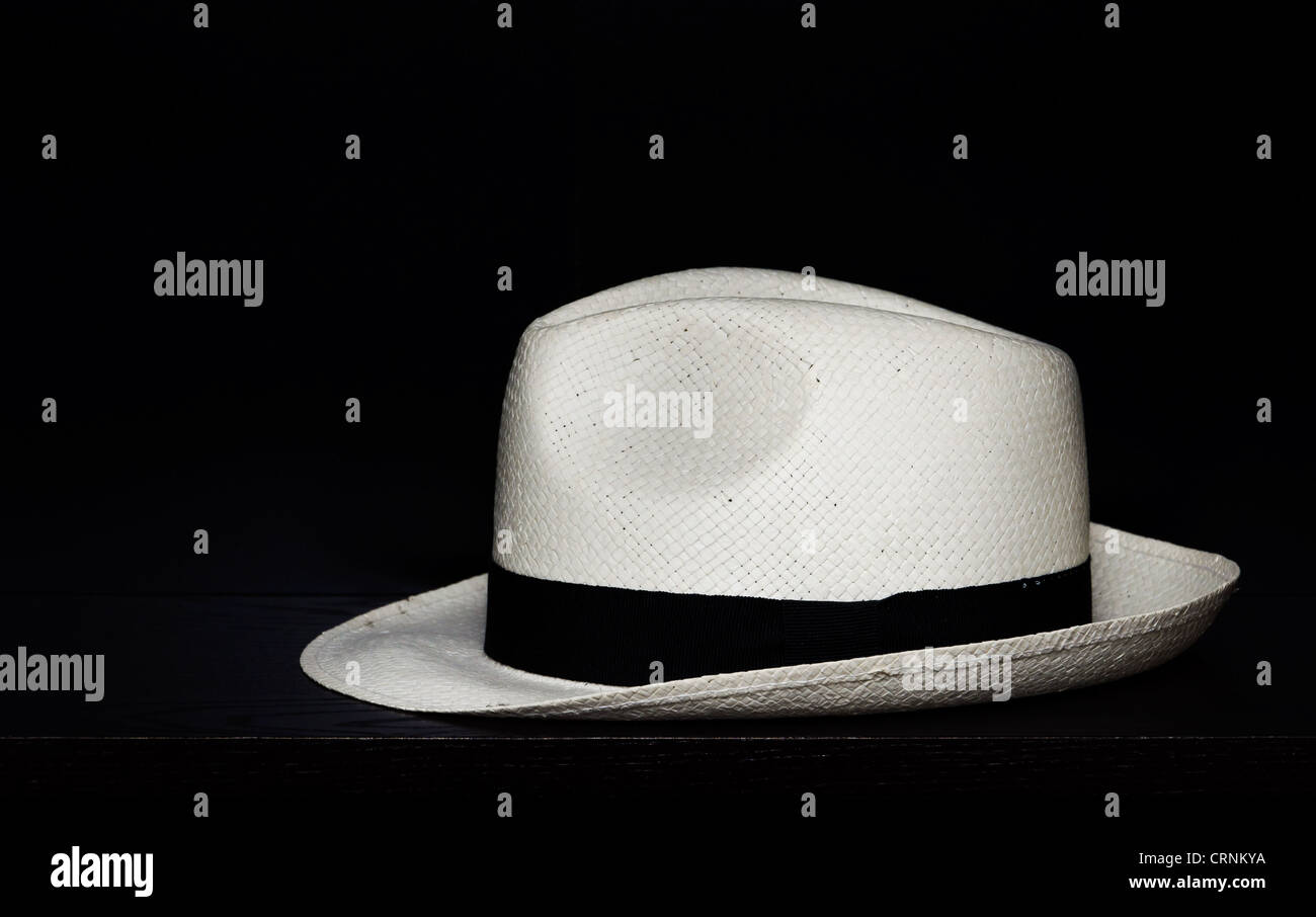 Panama hat palm hi-res stock photography and images - Alamy