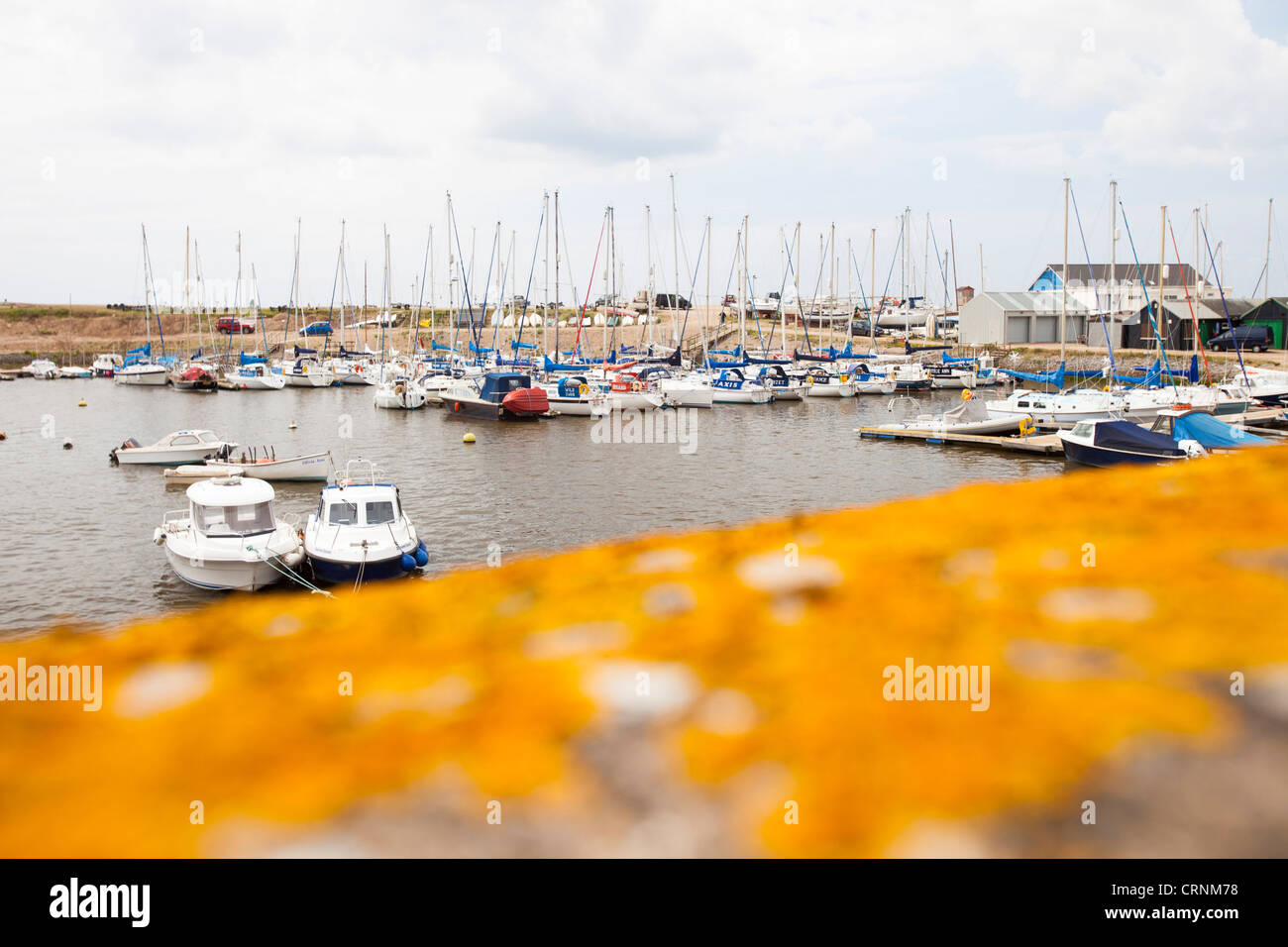 A marina at seaton on the Dorset coast, UK, from Englands oldest ...
